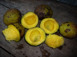 Buah Unik Khas Kalimantan - iBlogaya