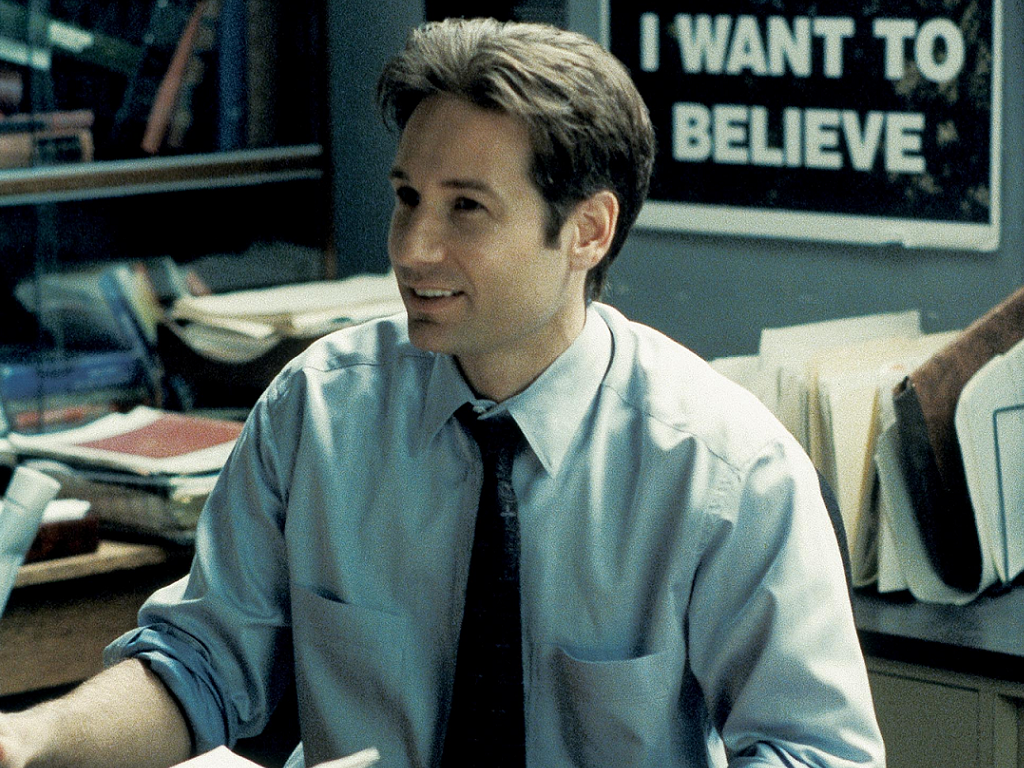 THE GRANDMA'S LOGBOOK ---: DAVID DUCHOVNY: FROM TWIN PEAKS TO THE X FILES