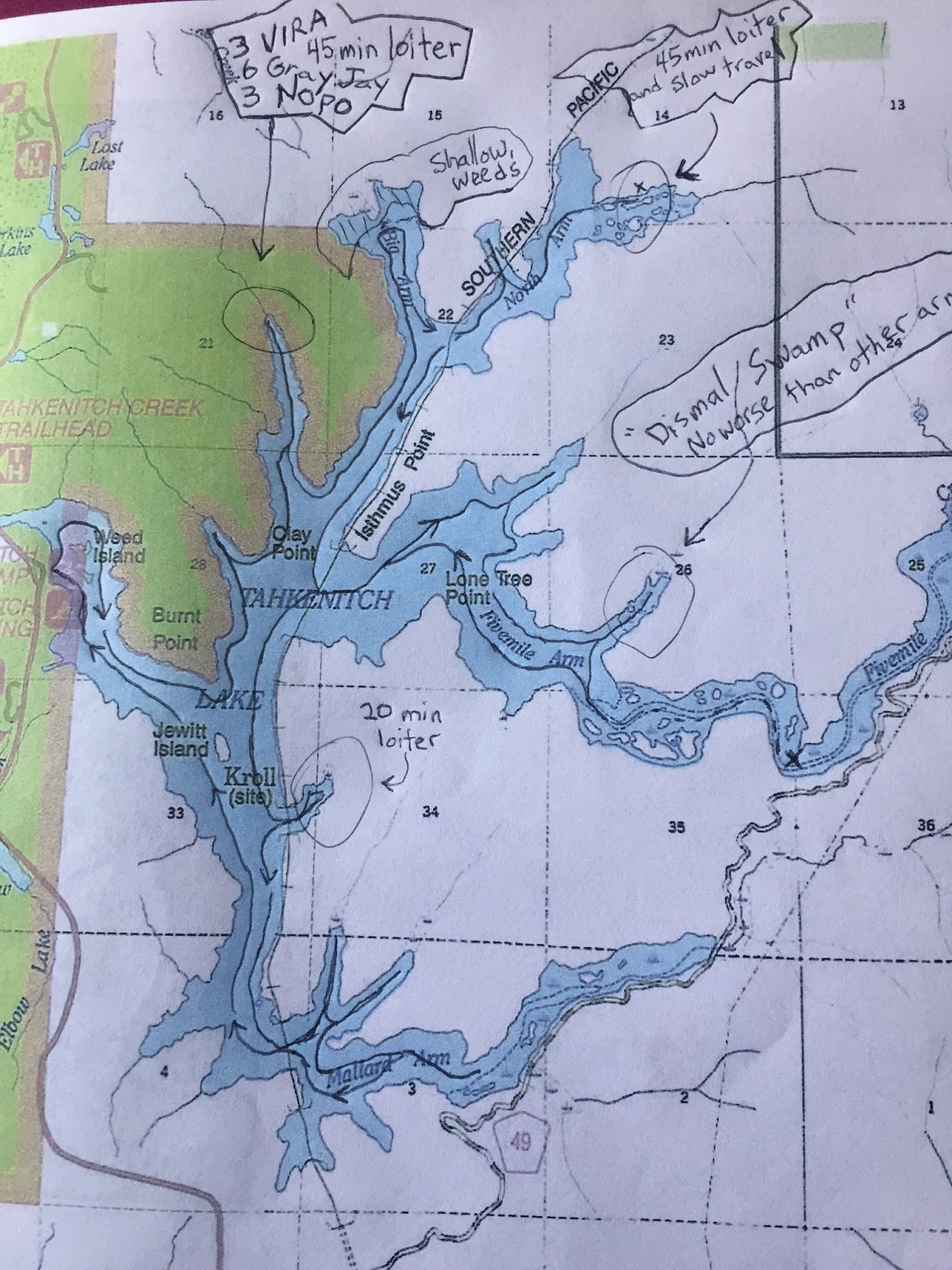 Umpqua Birds: The Second Reedsport Christmas Bird Count--December 28, 2016