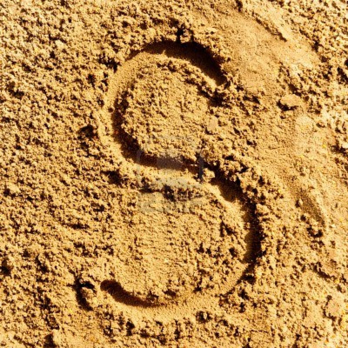 Teaching Munchkins: S is for Sand and Sun…Sounds Sensational!