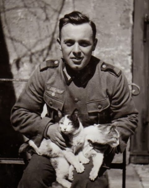 NAZI JERMAN: Foto Kucing (Katze)