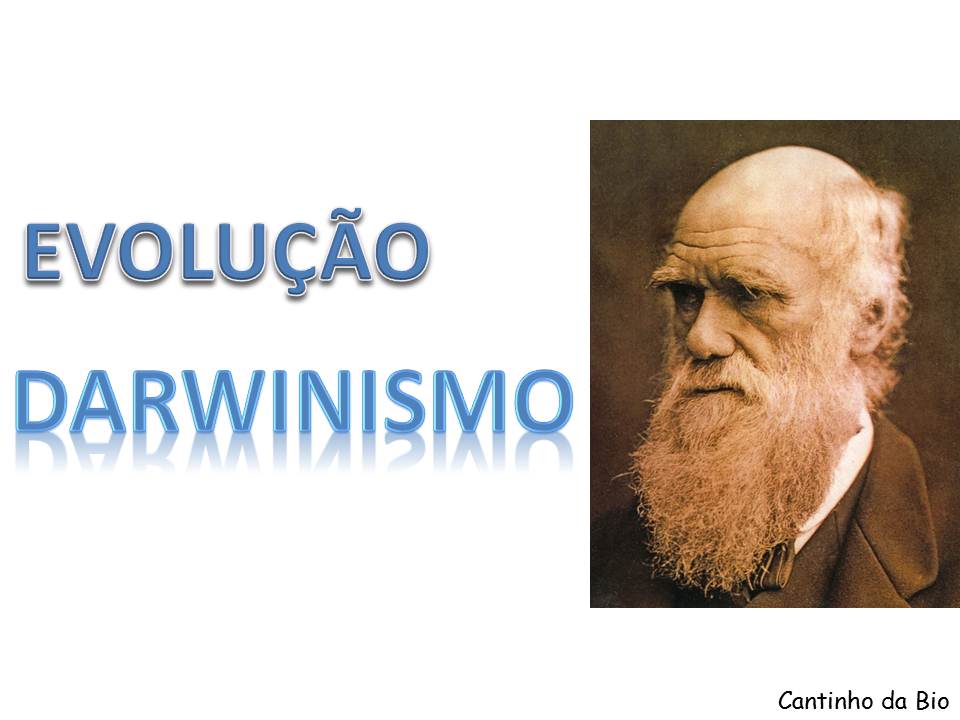 Cantinho da Bio: Janeiro 2018