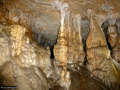 Viaranys: de gener 2019