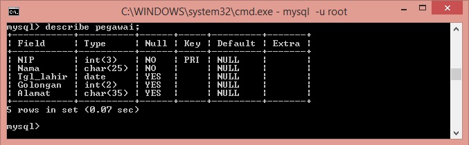 Belajar Membuat Database MySQL Menggunakan Command Prompt: Belajar ...