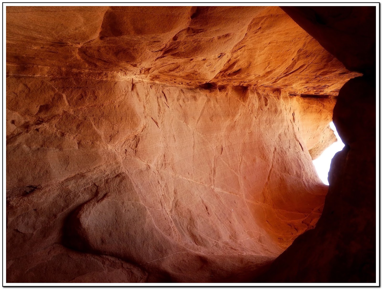 Ken's Photo Gallery: Logandale Trails Recreation Area - Summary Page