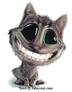 HD Animals: cat smiling teeth