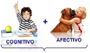 Procesos Cognoscitivos: La relación entre lo cognitivo y lo afectivo