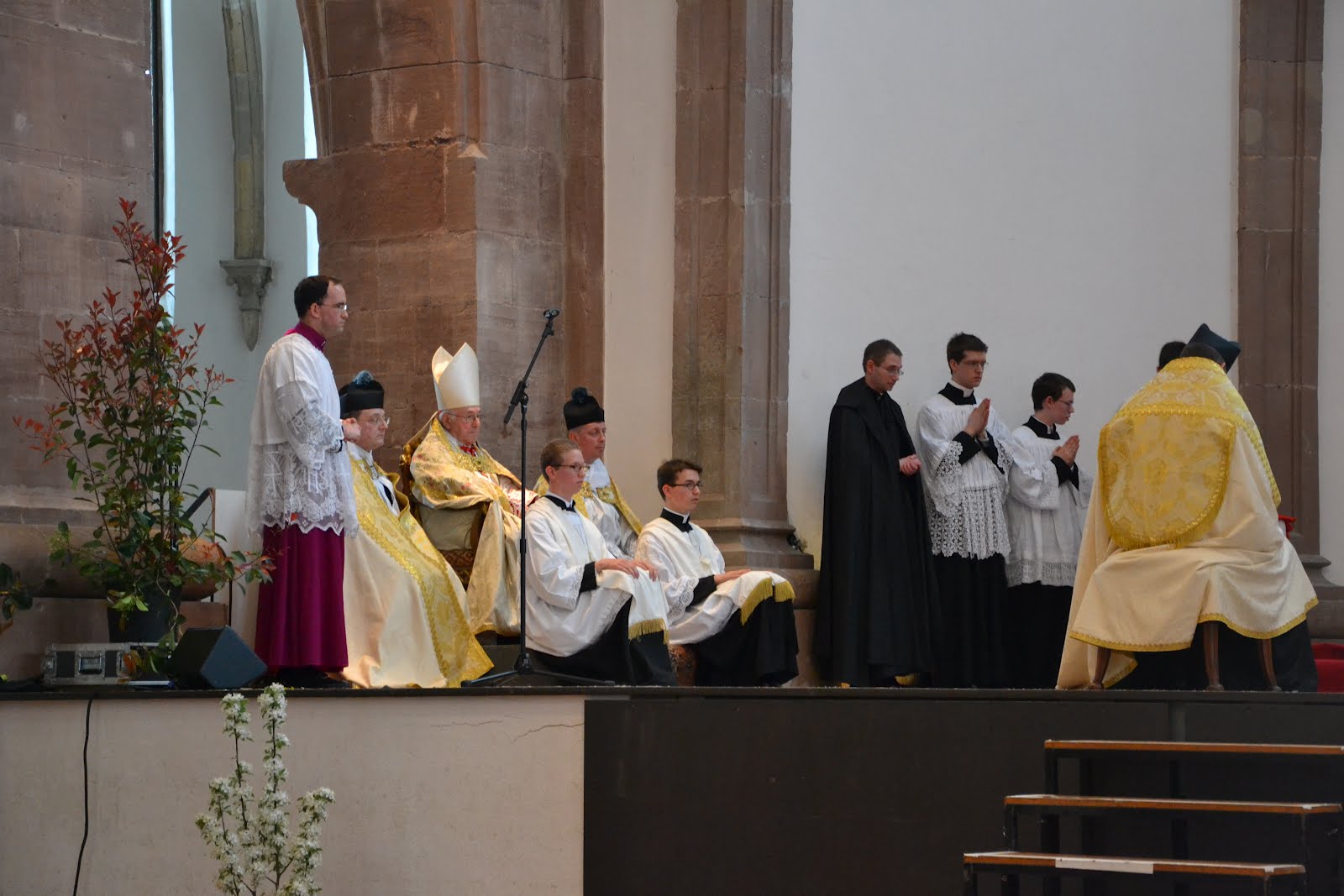 Missa Gregoriana no Mundo . SANTIDADE: DIFFUSION OF THE GREGORIAN MASS