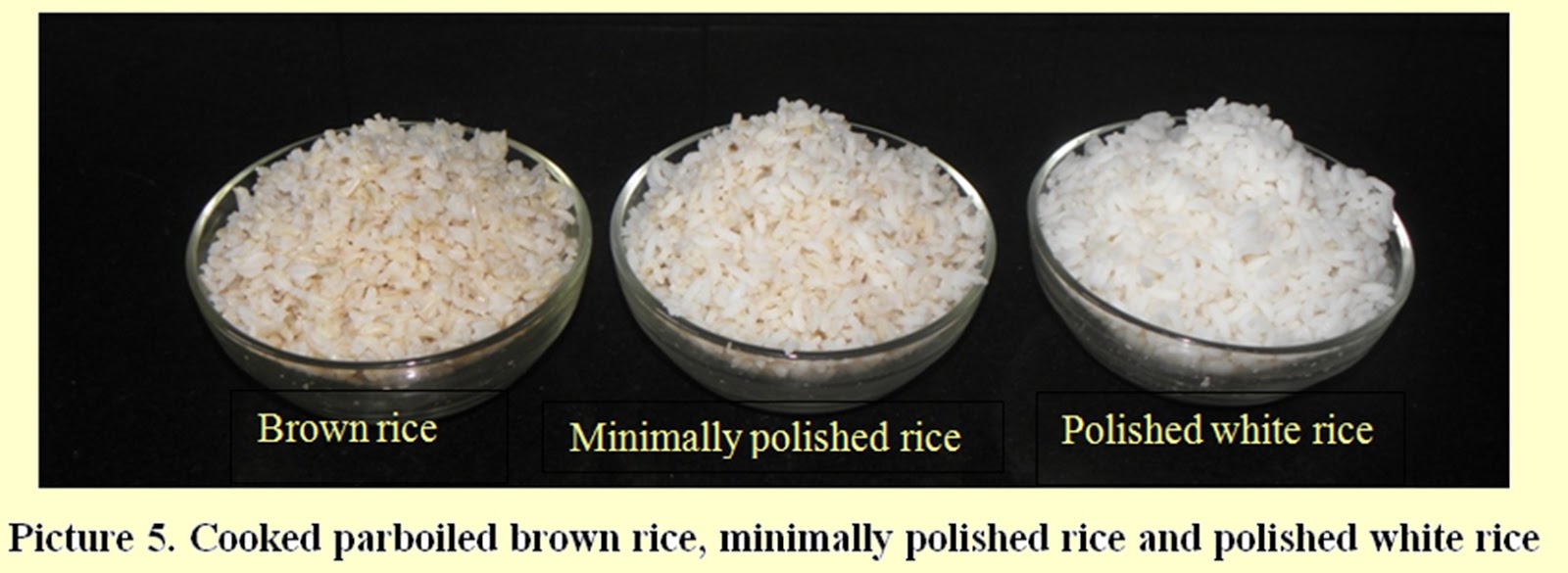Dr. Mohan's Diabetes Specialities Centre: HEALTH BENEFITS OF BROWN RICE