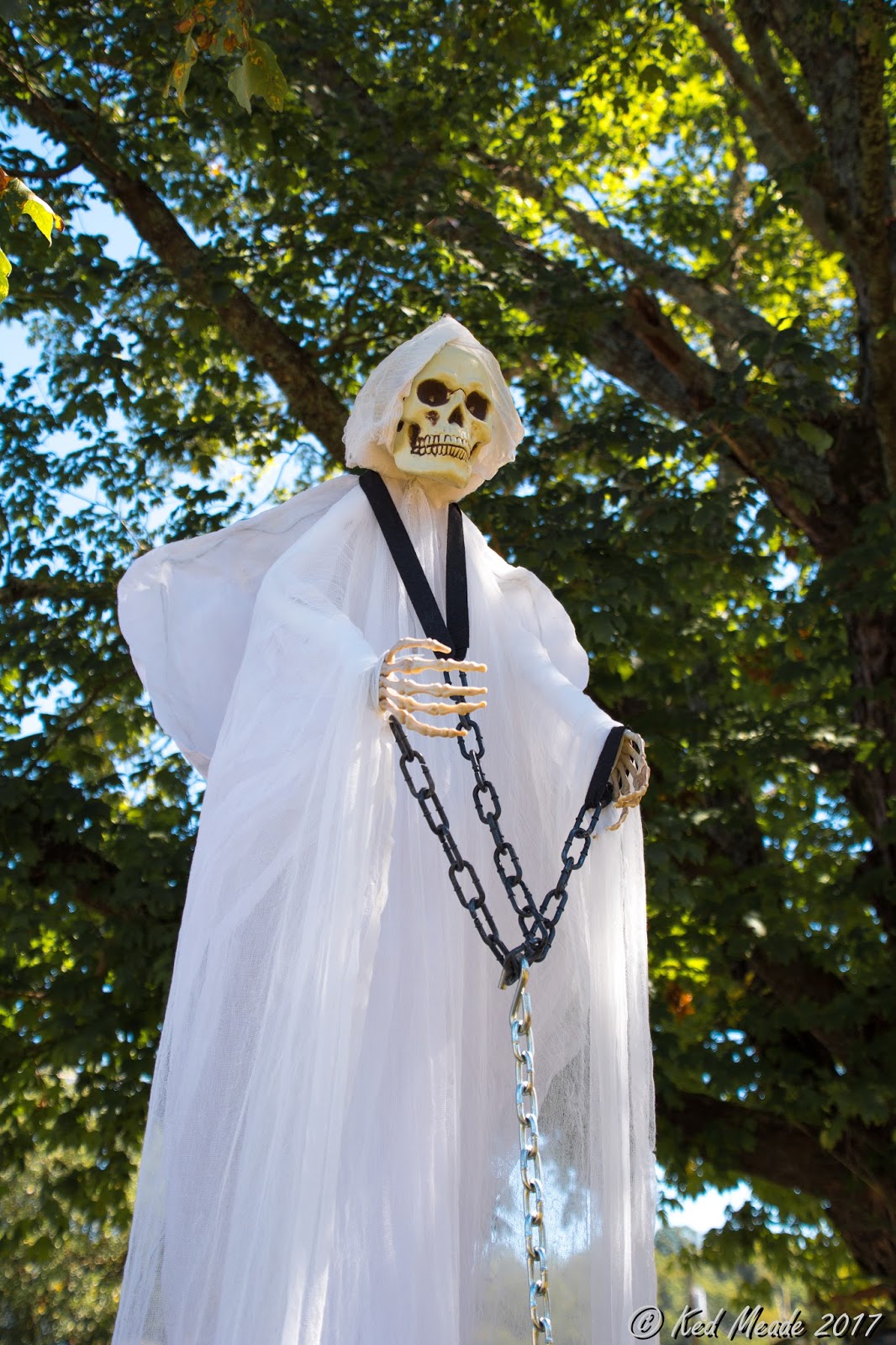 Something wicKED this way comes....: Wind ghost in the tree {Countdown ...