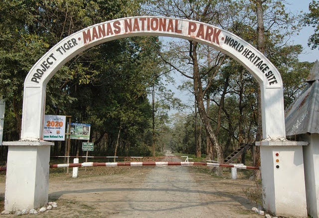 Manas National Park: A Travel Guide | Insight India : A Travel Guide to ...