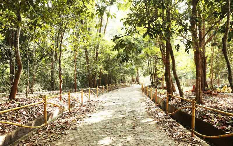 Aralam wild life sanctuary Kannur - avalshe98