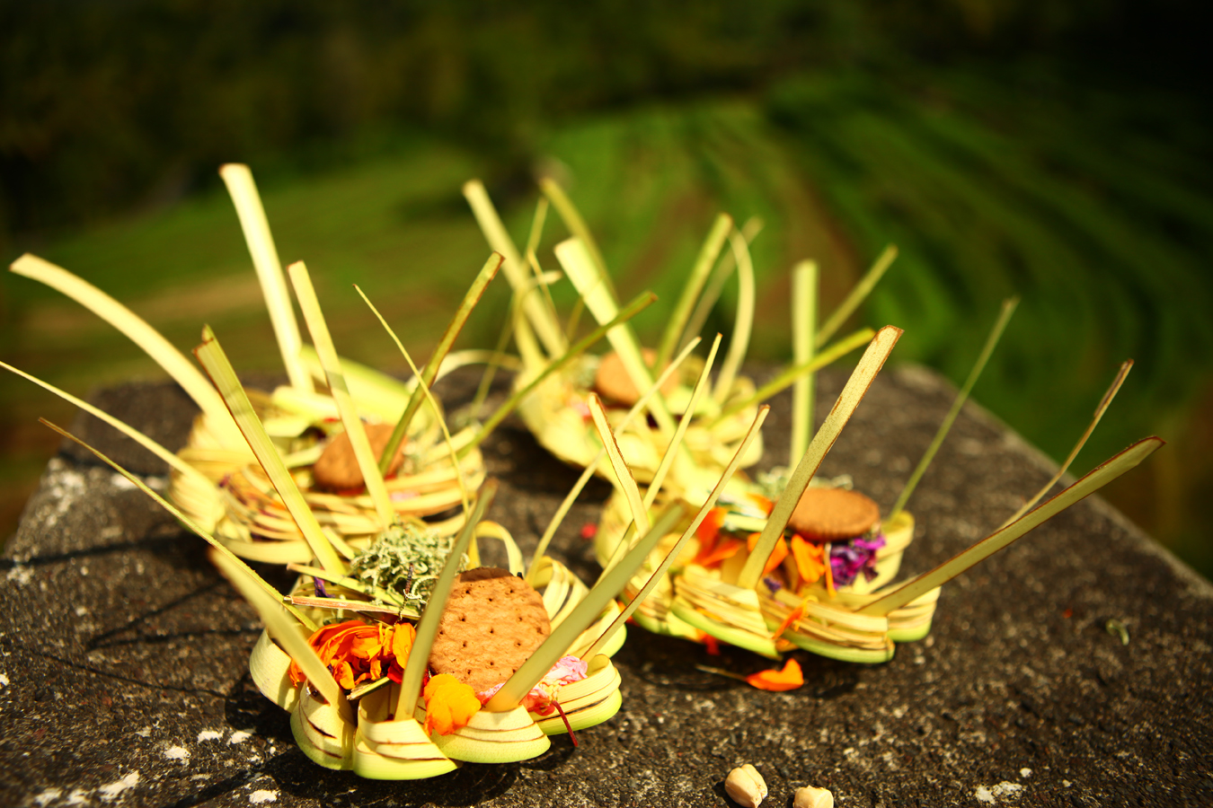 Horison Seminyak Bali: Canang Sari, daily of Balinese ritual