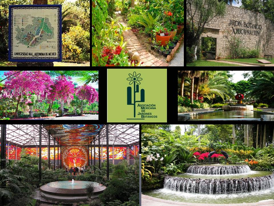 México a través de la mirada de una cubana: Jardines Botánicos de ...