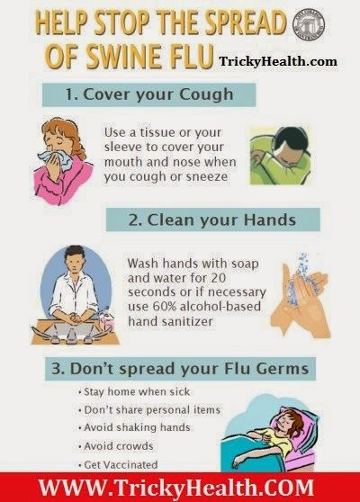 My personal Blog: SWINE FLU PREVENTIONS METHODS AND HEALTH TIPS TO ...