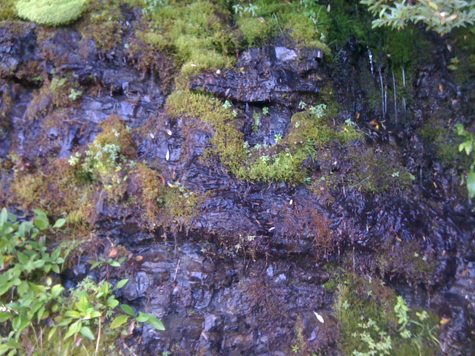 MDK10 Outside: Pictures of Textures