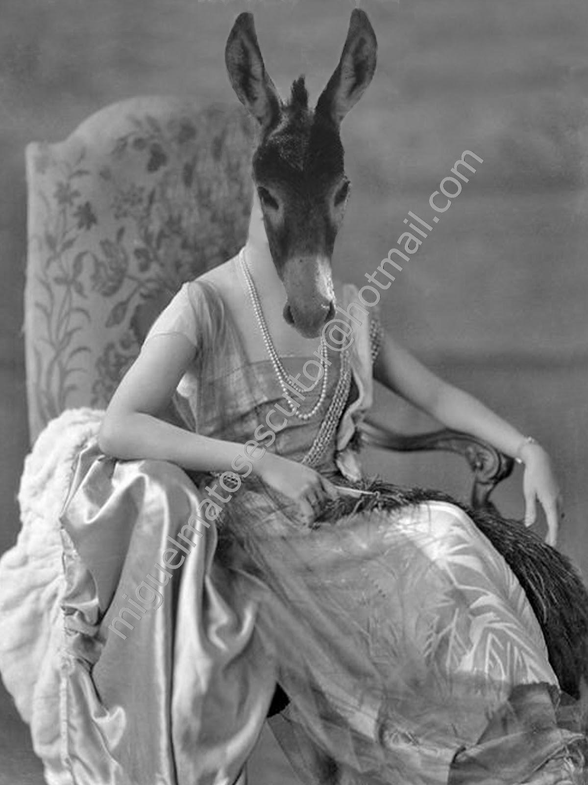 Miguel Matos Official: Minha Vida é uma Fábula. 2