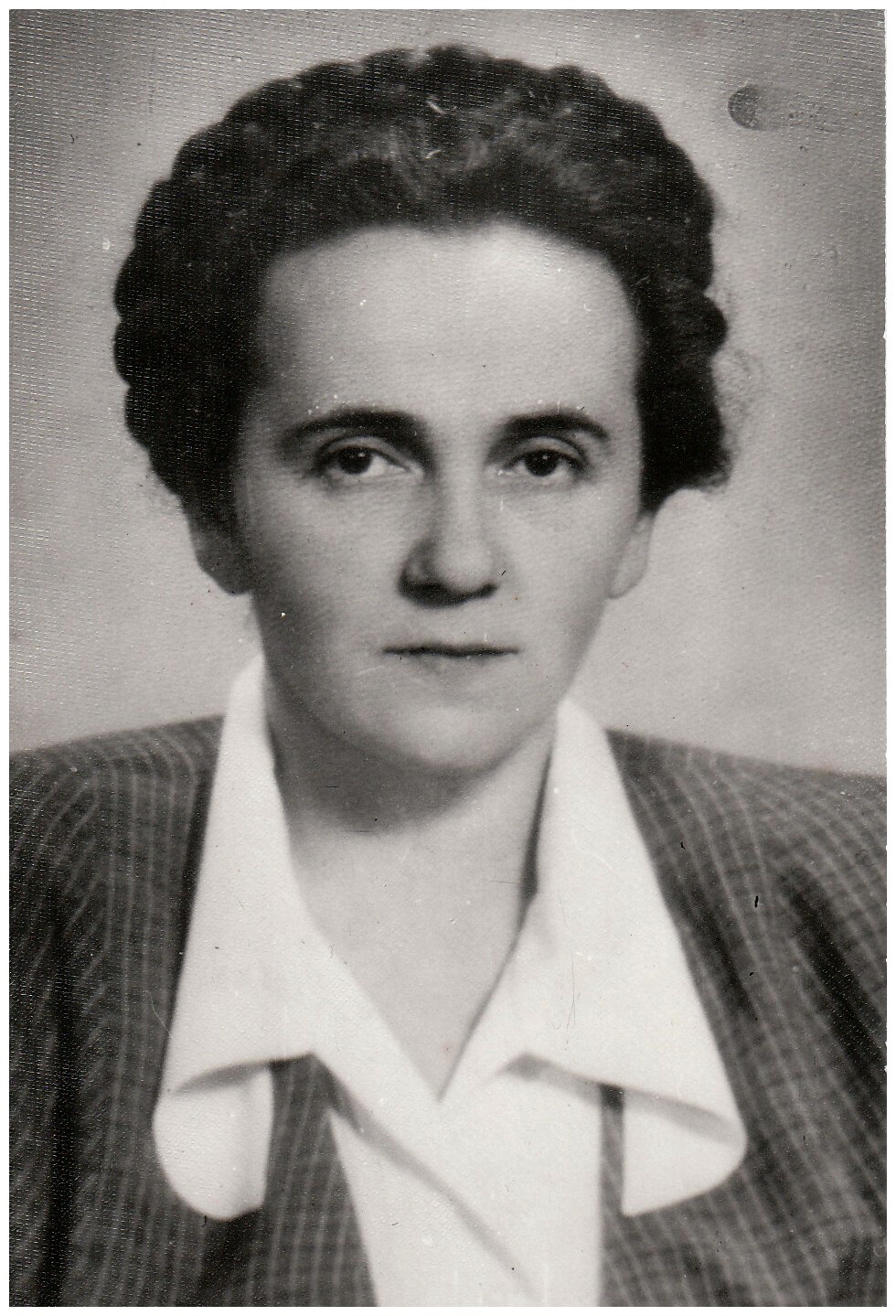 Blog Bacsinszky János es Nemes Judit: A Bacsinszky család első Kongresszusa