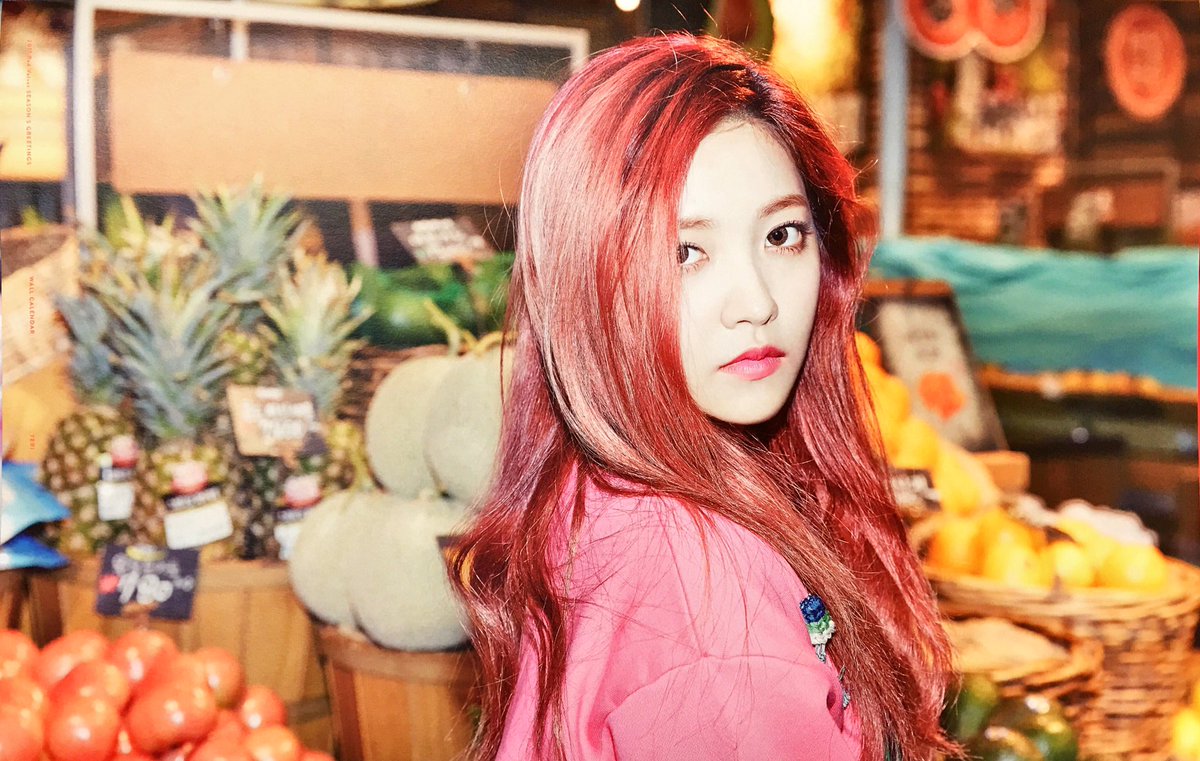 I Love Red Velvet : YERI RV @ RED VELVET SEASON GREETINGS 2017