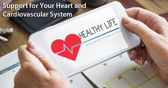 Support for Your Heart and Cardiovascular System