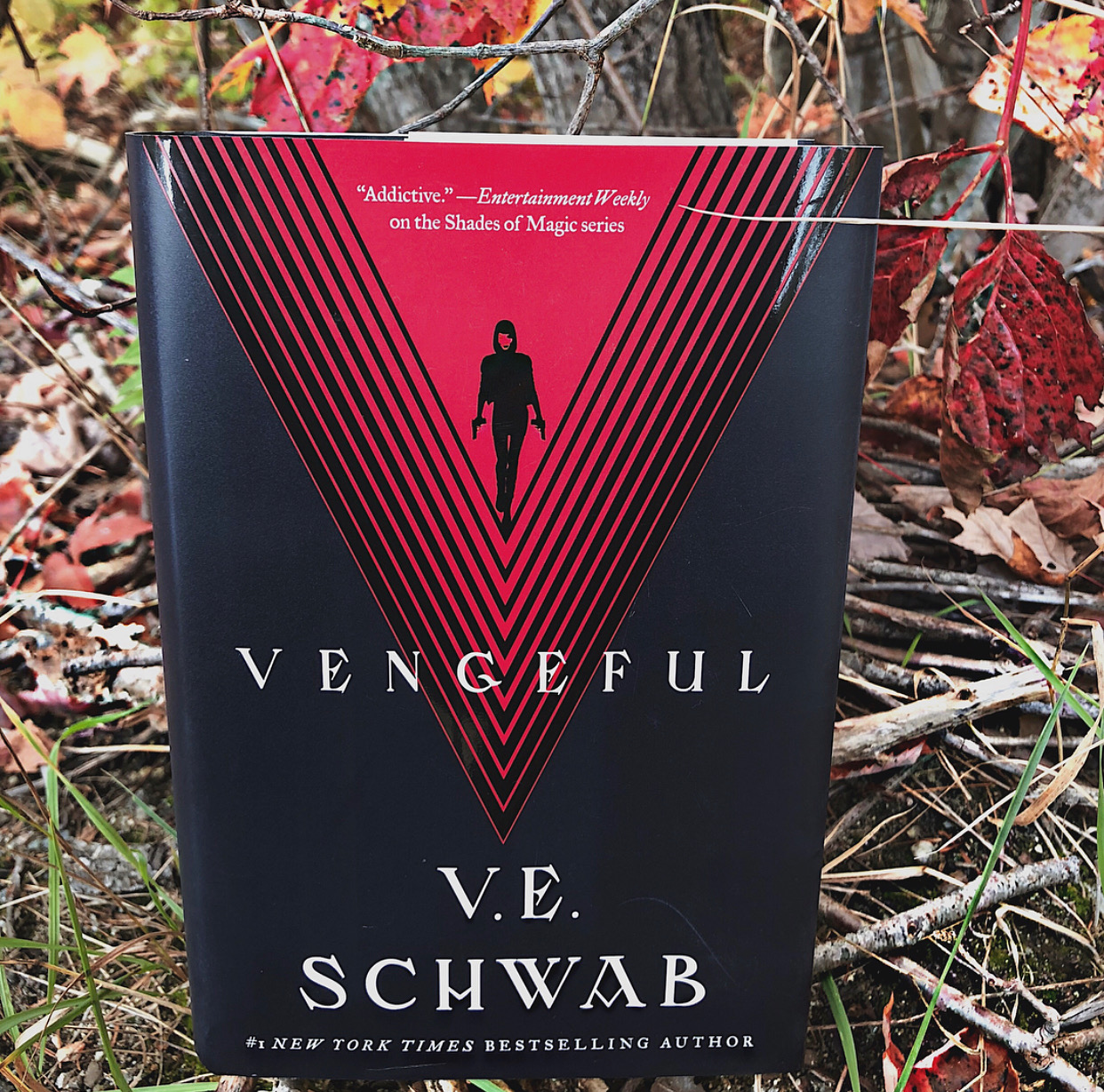 Heather's Reading Hideaway : [Book Review] Vengeful by V.E. Schwab