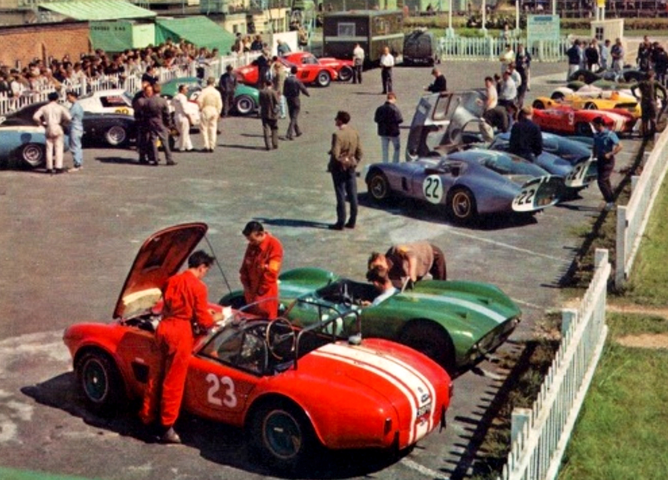 Just A Car Guy: Goodwood paddock; #23 Jack Sears Shelby Cobra, #22 Phil ...