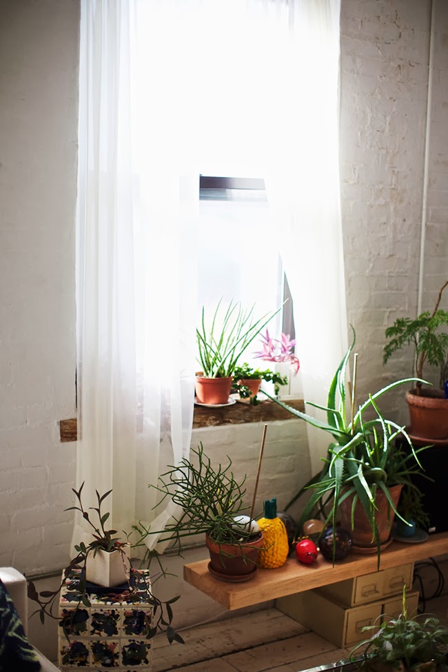 Somewhere I would like to live: In Brooklyn a plant filled loft