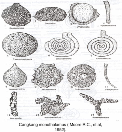 FORAMINIFERA BENTHONIK DAN LINGKUNGAN PENGENDAPAN ~ POROSITAS