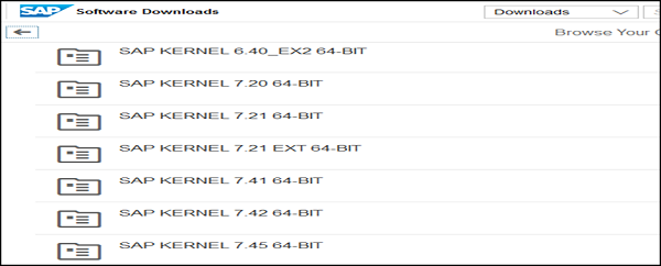 SAP Basis Kernel Upgrade and Patching | SAP Online Guides