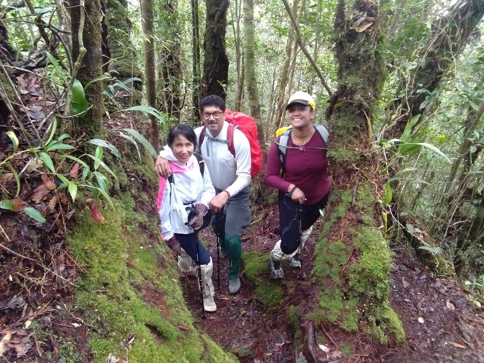 MT TRUSMADI VIA SINUA: PENDAKIAN GUNUNG TRUSMADI