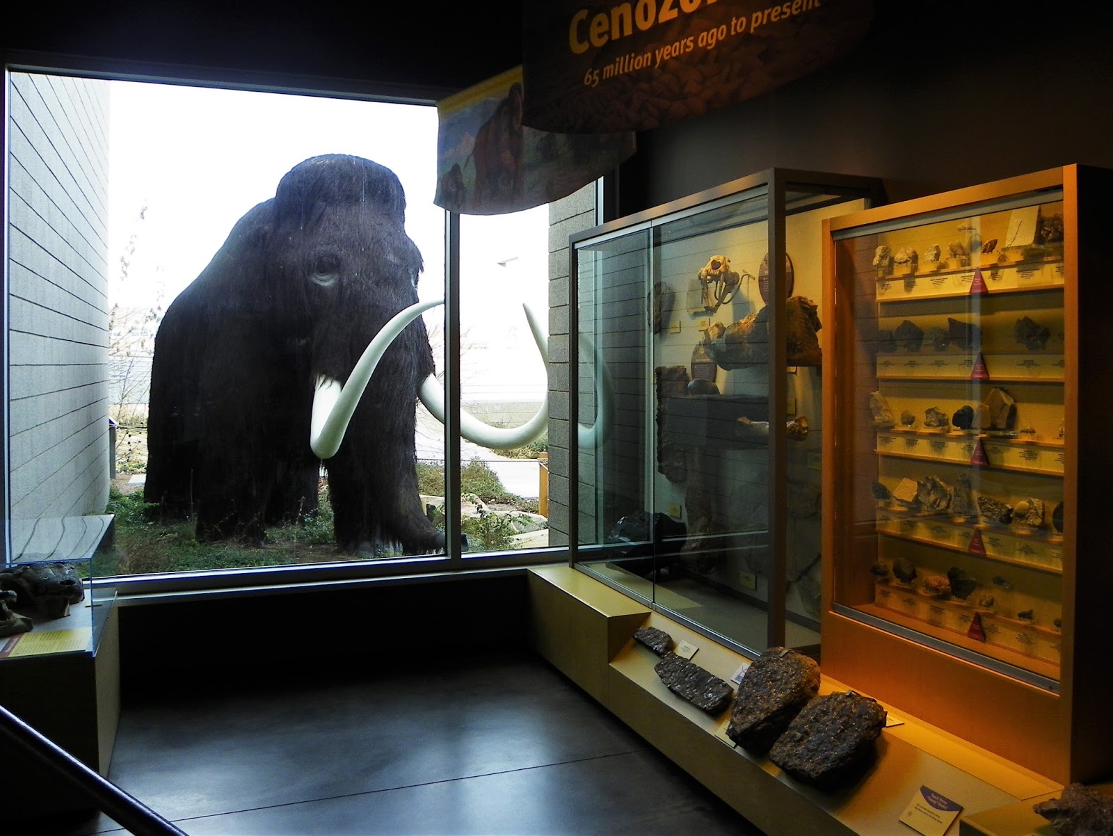 BONE ROOMS: April 2017