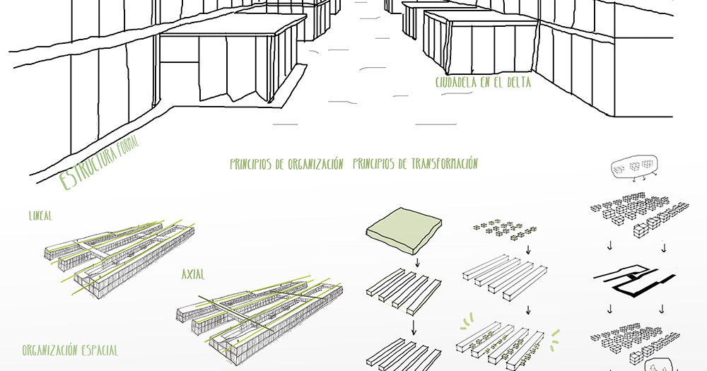 Diseño + arquitectura: Lourdes Fajardo - Estructura formal