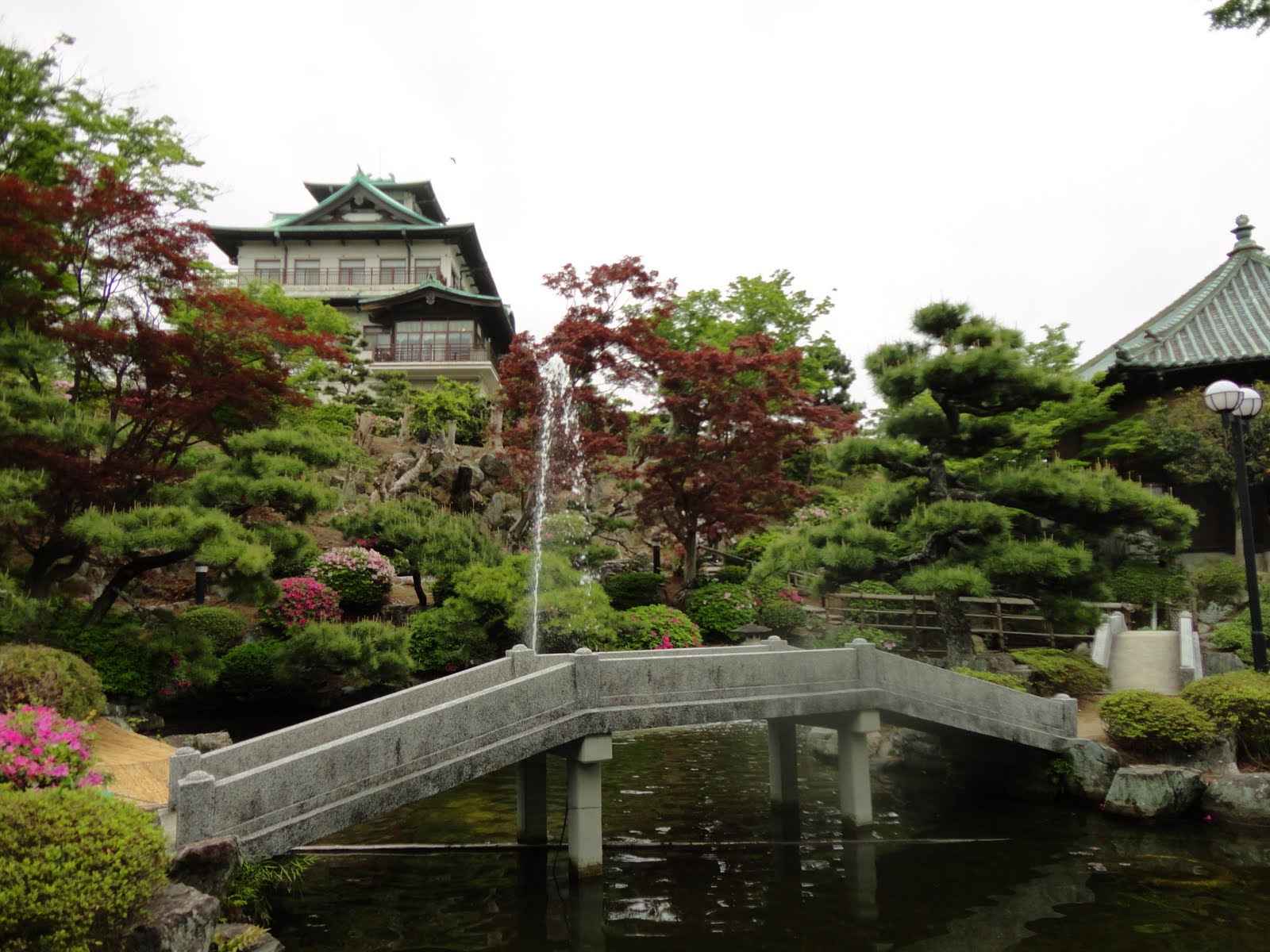 Amo conhecer o Japao: Ilha de Takeshima