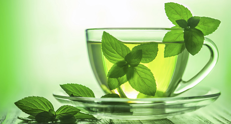 7 Chás que aceleram o emagrecimento