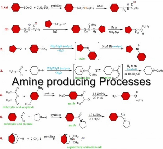 Manash (Subhaditya Edusoft): Organic Chemistry Part 4 : Amines