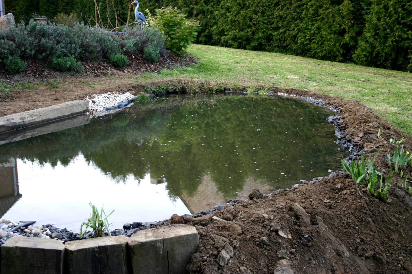 MODELKIT WORKSHOP: The "pond" Project... Initiated in 2008...