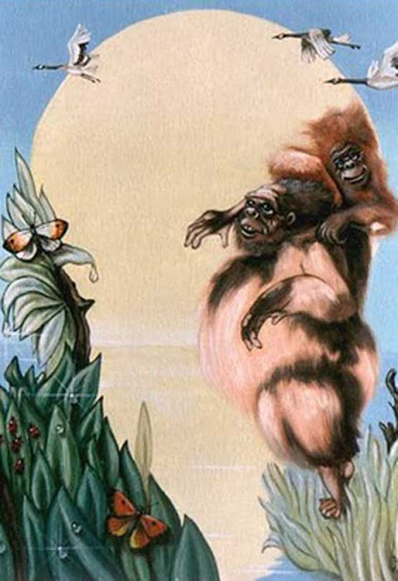 Optische illusies en gezichtsbedrog: Verborgen gezichten: schilderijen