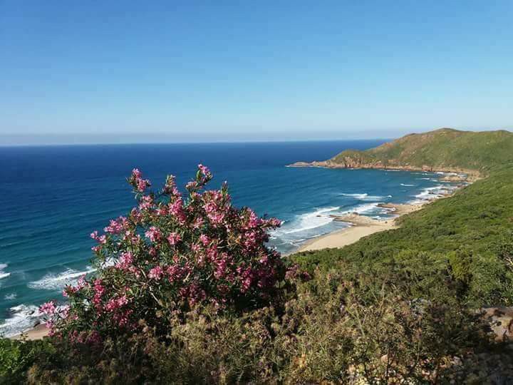 El-Kol, skikda, Algeria