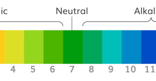 Using pH strips to test beer | How to Home Brew Beer