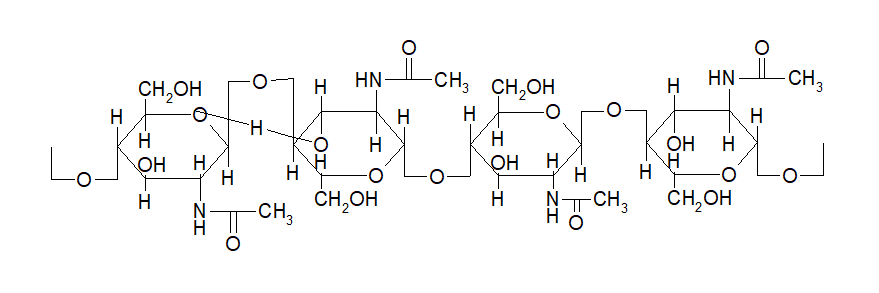 CURIOSIDADES CIENTÍFICAS : Quitina