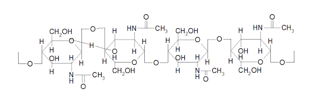 CURIOSIDADES CIENTÍFICAS : Quitina