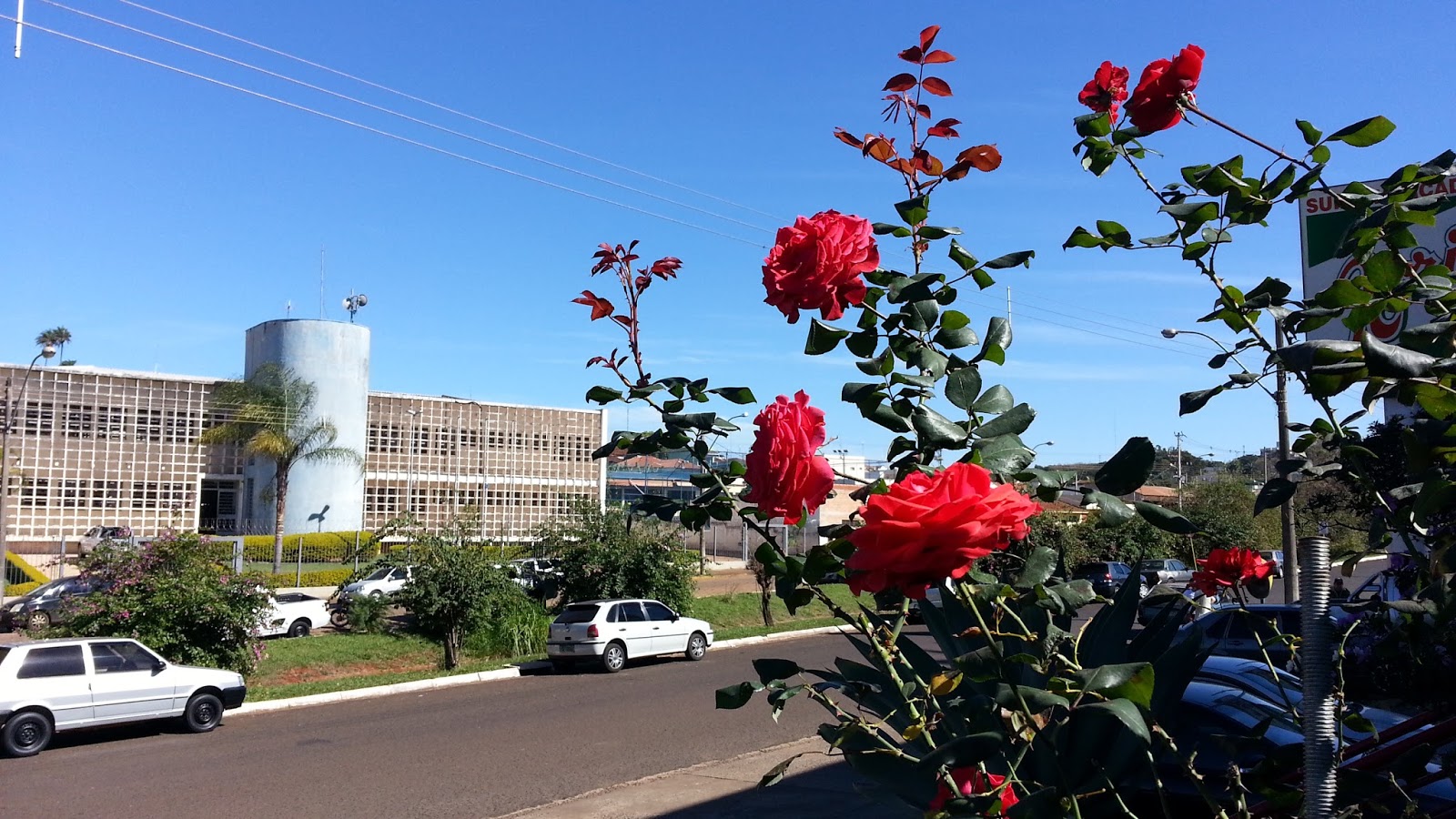Blog do Campista: Acampada em Altinópolis/SP