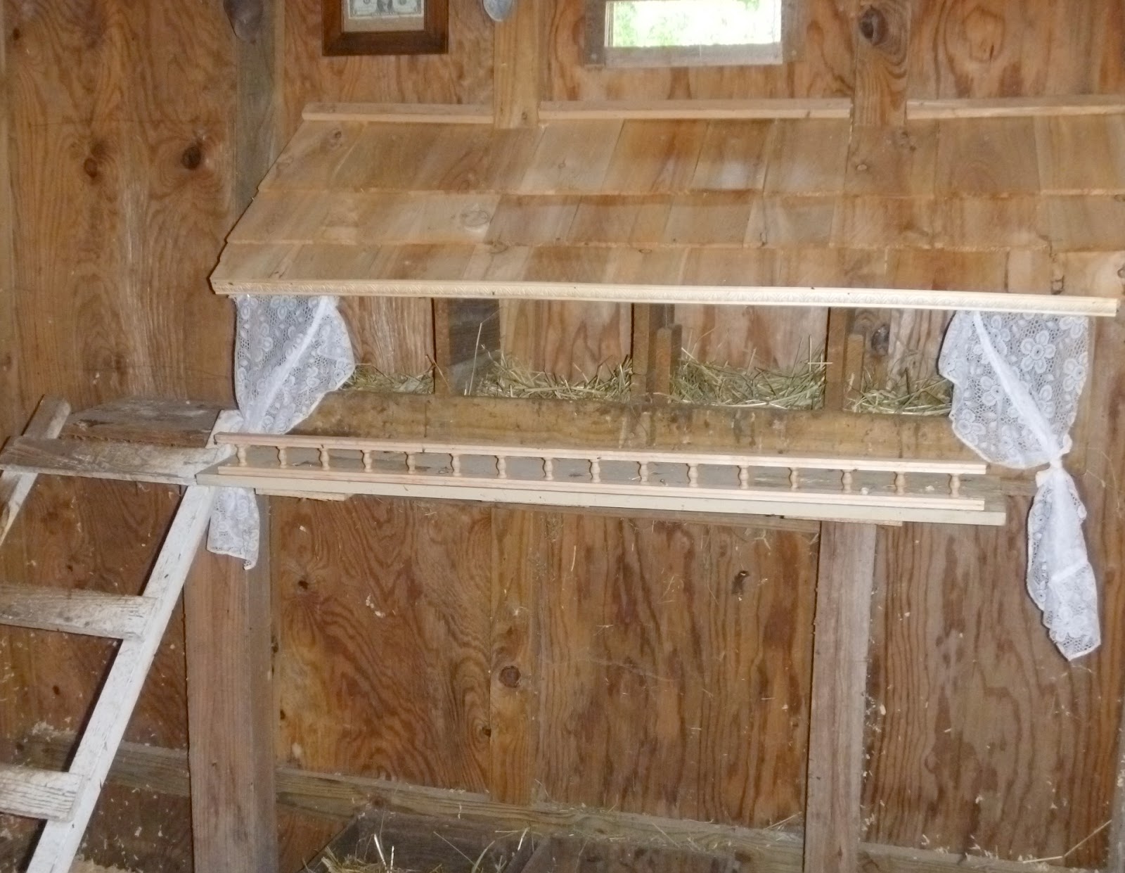 Converting a Lean-to into a Chicken Coop - Fresh Eggs Daily® with Lisa ...