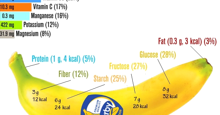 The Nutritional Value of Banana and Its Benefits to Your Diet | Banana ...
