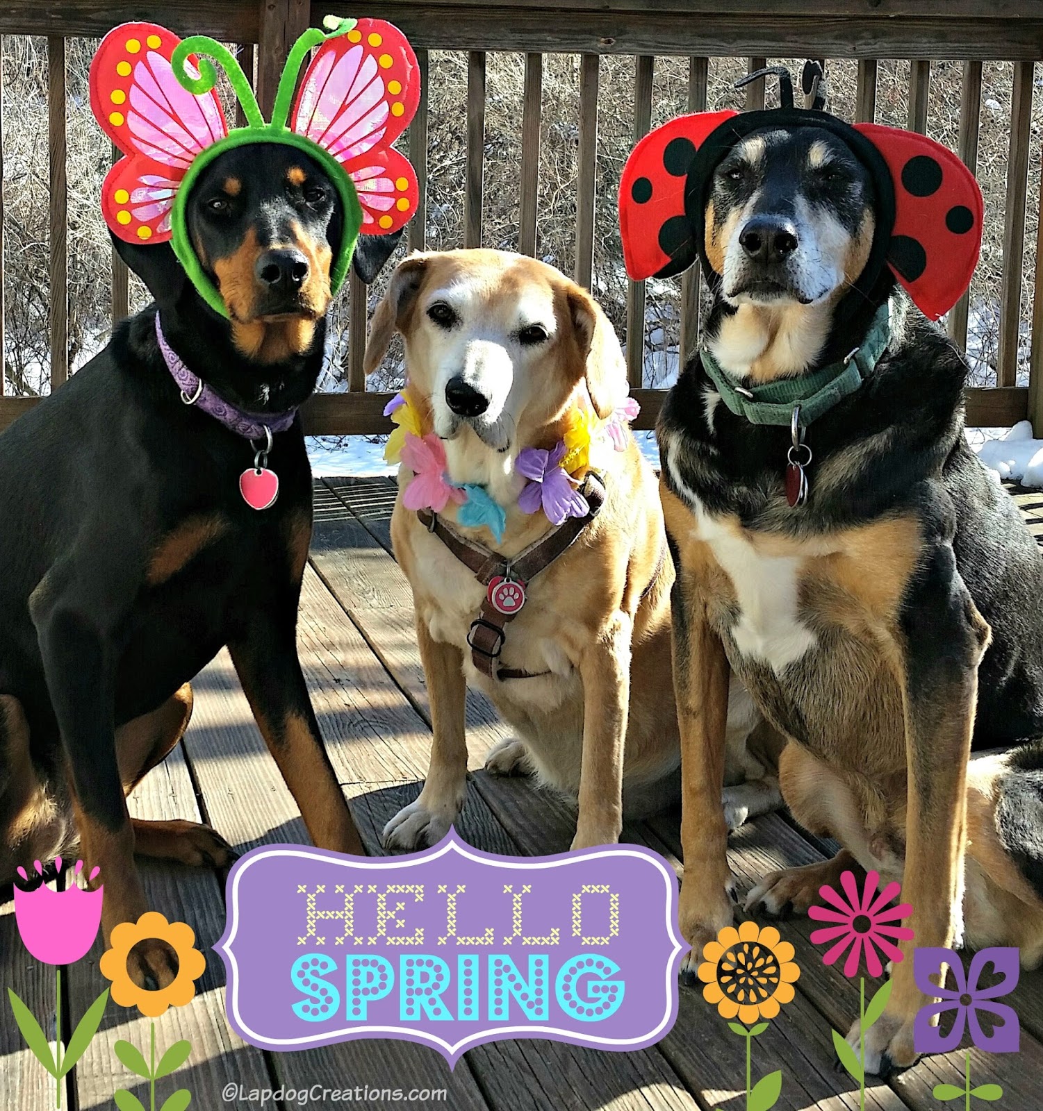 Lapdog Creations: Welcome Spring #FirstDayofSpring