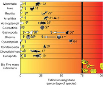 Exeter Deep Ecology Network: The Sixth Extinction - The biggest story ...