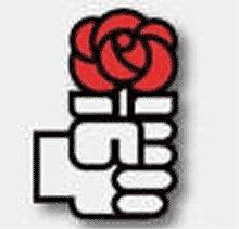 DE PUÑO Y ROSA - El programa del Partido Socialista de Sierra Grande ...