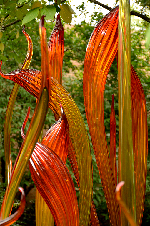wanderlust ATLANTA: Atlanta's Spectacular "Chihuly in the Garden"