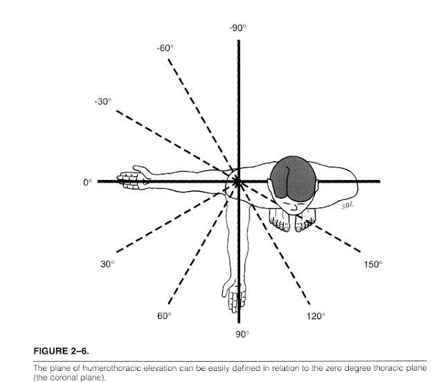 UW Shoulder and Elbow Academy: Defining functional shoulder range of ...