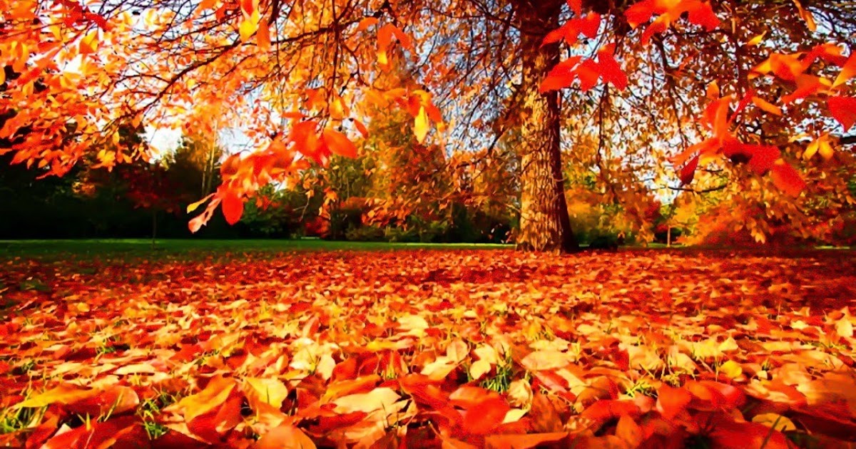 musim apa yang kamu suka?